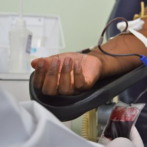 Hemoal promove nesta segunda cadastro para doação de medula óssea ...